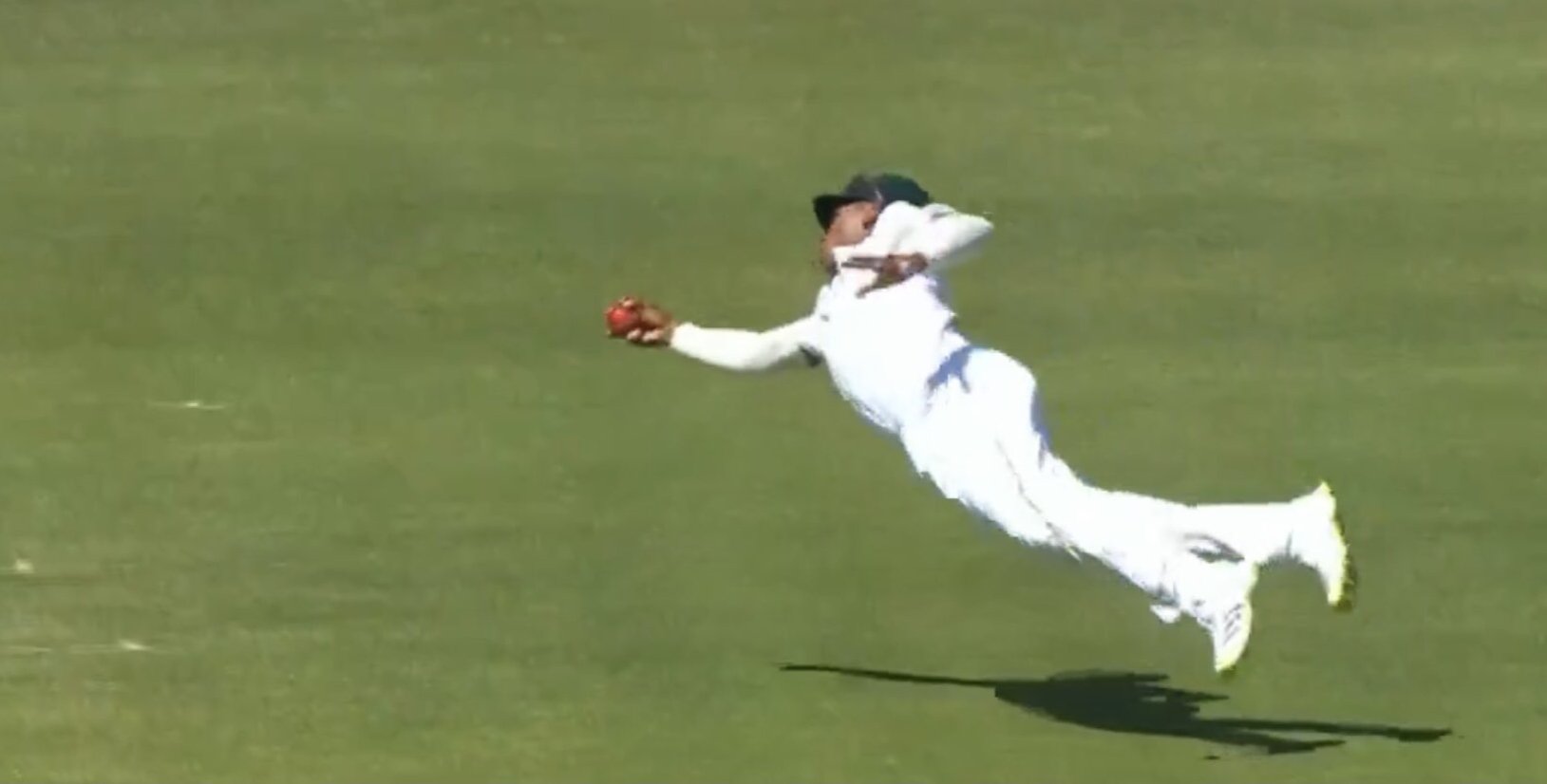 WATCH : Is that a bird? Is that a plane? Keegan Petersen stunner - Cricwire